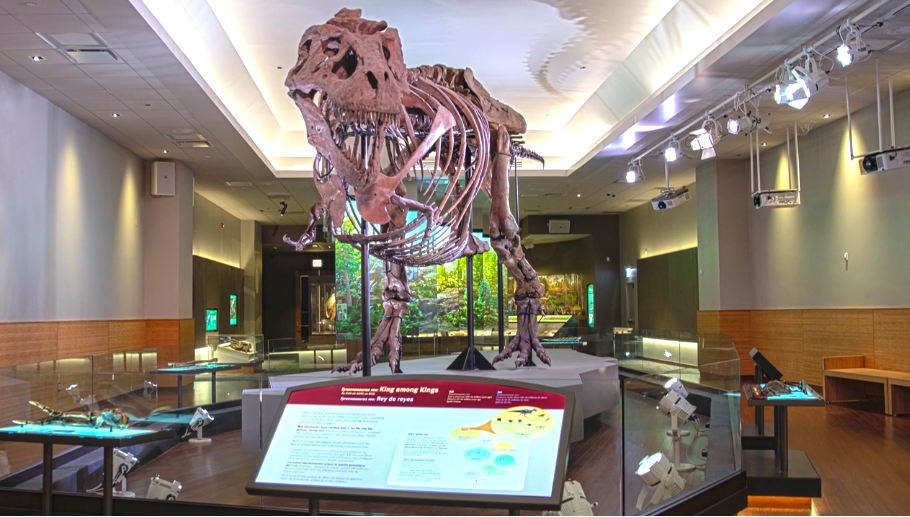 Blast From the Past: Field Museum Case Study - Videos | Sharp for business
